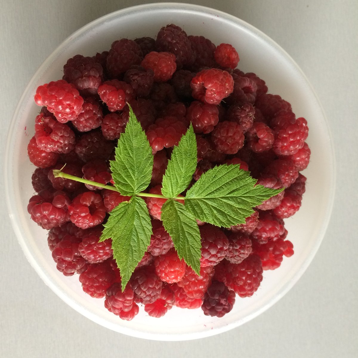 Petits fruits et grands plaisirs - Fleurs, etc.